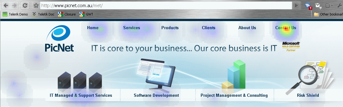 PicNet Mouse Eye Tracking Service Limited Release - PicNet