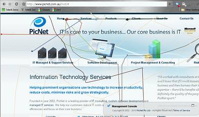 PicNet Mouse Eye Tracking Service Limited Release - PicNet